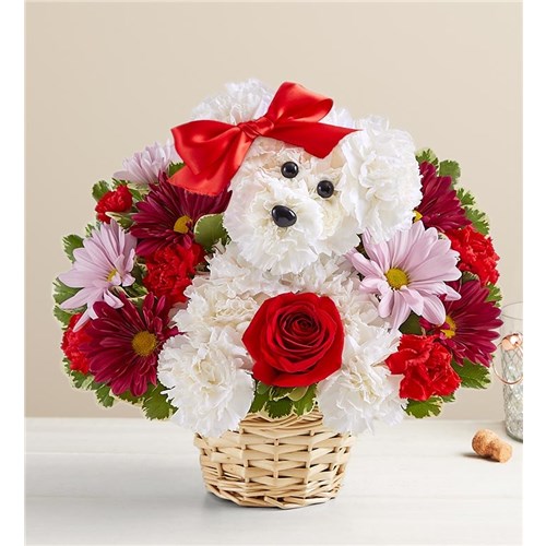 Blooming Flowers And Gifts Santa Ana | Best Flower Site